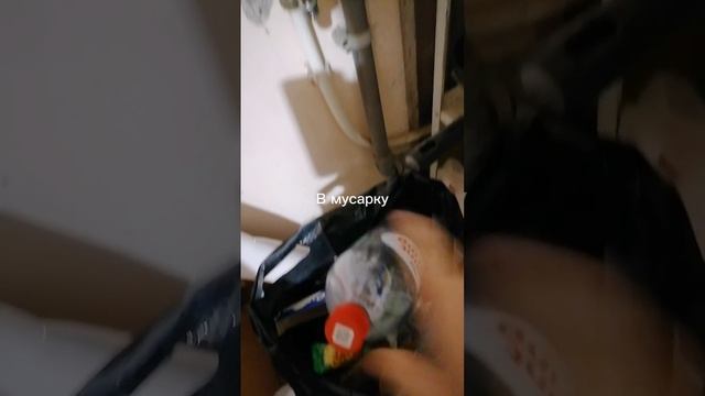 Помощь🇷🇺 природе🌲