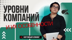 Стадии развития клининговой компании: от гаражного бизнеса до империи чистоты! 🧹📈