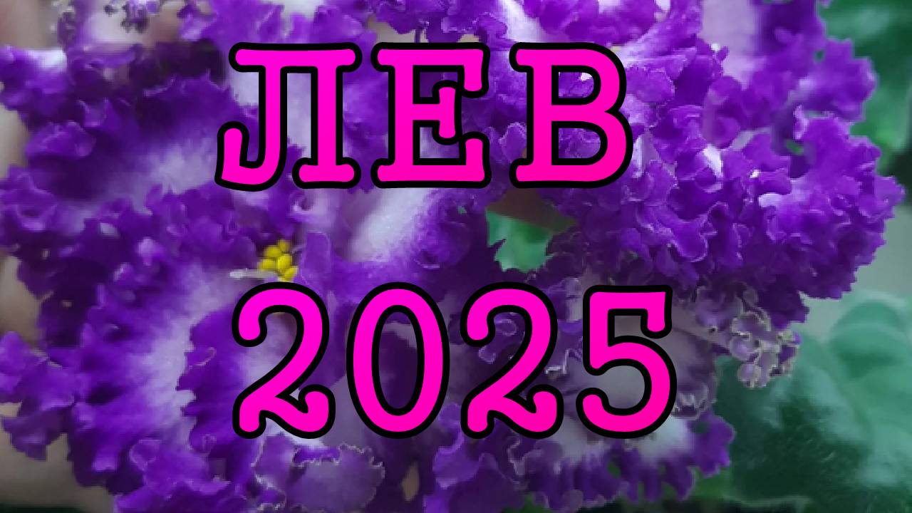 ЛЕВ таро прогноз на 2025 год по 12 домам гороскопа.