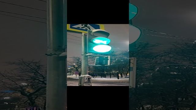 Работа транспортного и пешеходного светофора, Химки, 15.12.2024