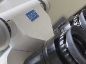 Стоматология доктора Тарасовой_Микроскоп