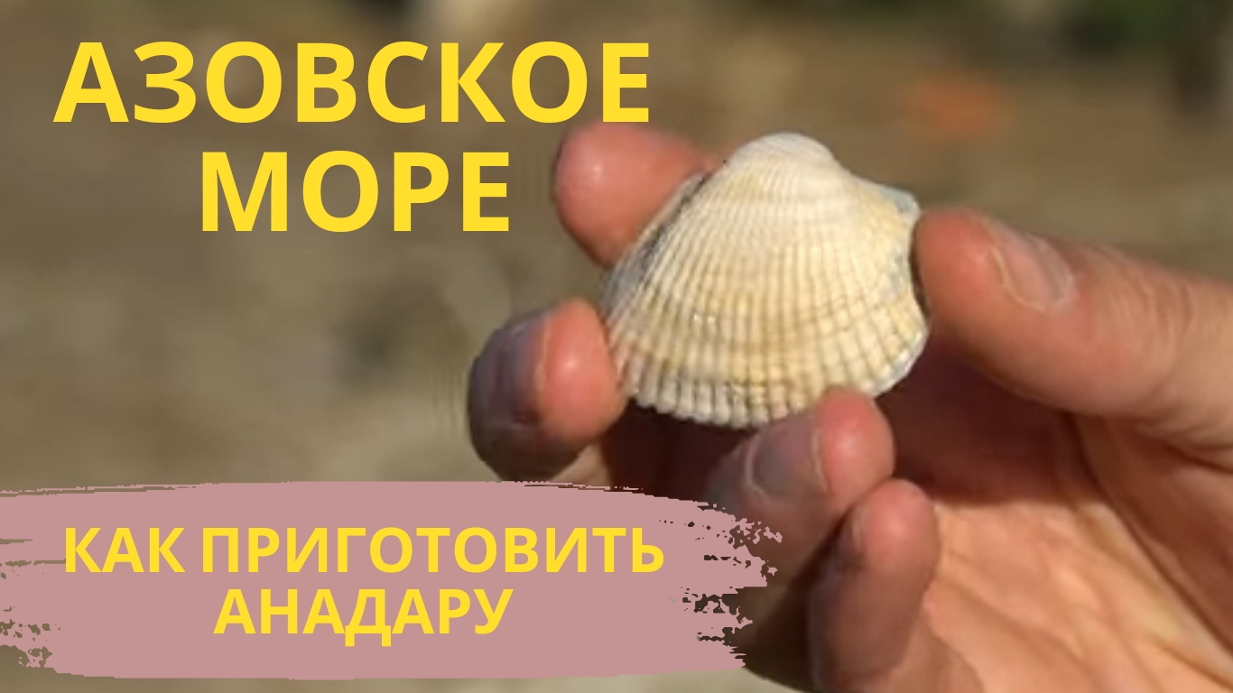 АЗОВСКОЕ МОРЕ ГОТОВИМ АНАДАРУ