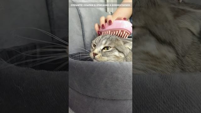 Дина тестирует СПА-расчёску: честный обзор