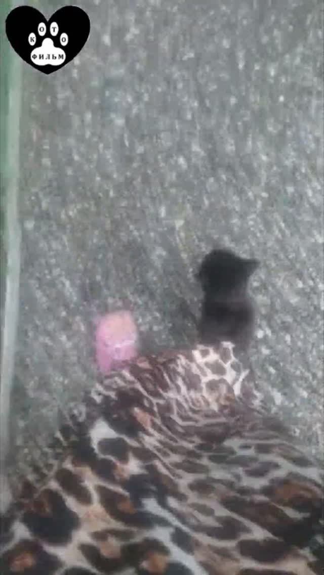 Неприятностей боюсь