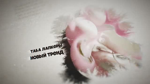 ТАБА ЛАКПЕРЫ - ОБЛЕПИЛИ ВСЕ ШКОЛЫ СКВИШАМИ.