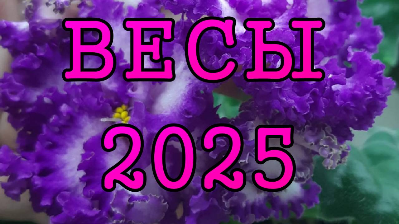 ВЕСЫ таро прогноз на 2025 год по 12 домам гороскопа.