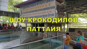 Шоу крокодилов в парке миллионолетних камней. Паттайя.