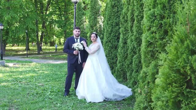 Езидская свадьба / Dawata Ezdia /  Амар & Хазал г. Тамбов