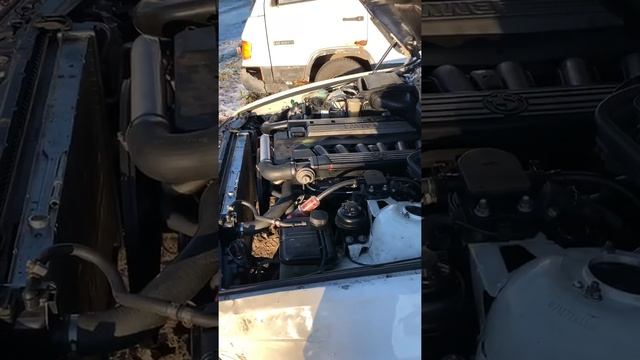 Bmw e39 M51 стук