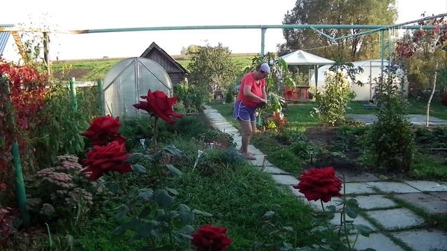 лето 2015_лазазей_DSCF2502 - YouTube [720p]