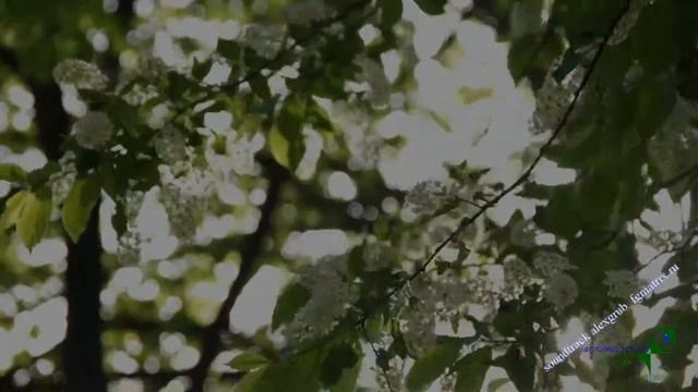 Пробке в Саратове .а желание сбываются..