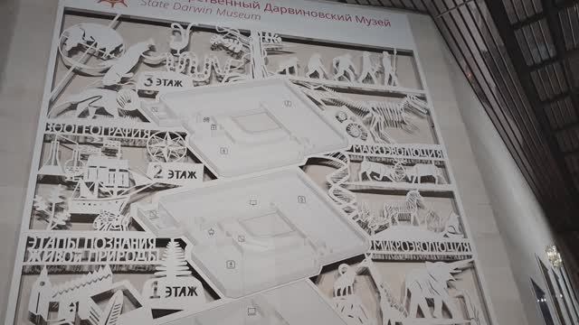 Прогулка по Дарвиновскому музею. Москва