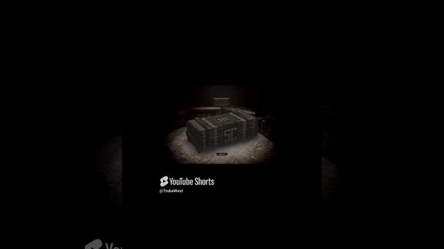 STALCRAFT SHORTS #10