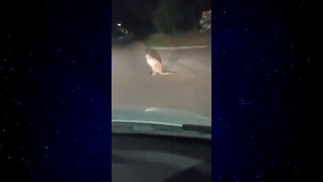 сборник приколов часть 2🤣🤣