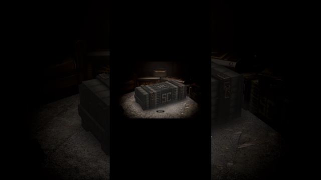 STALCRAFT SHORTS #9