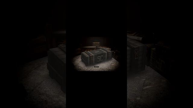 STALCRAFT SHORTS #4