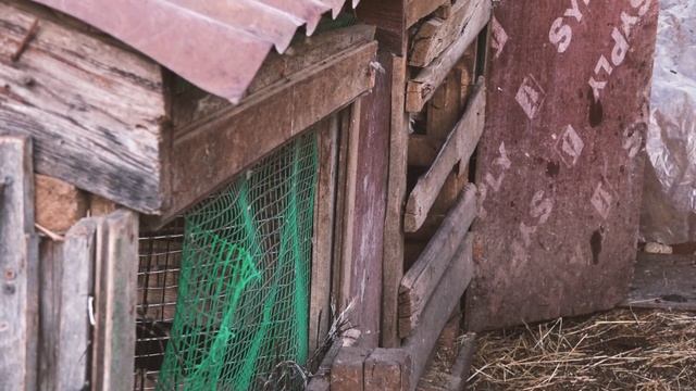 Когда все вместе. Таджикская семья