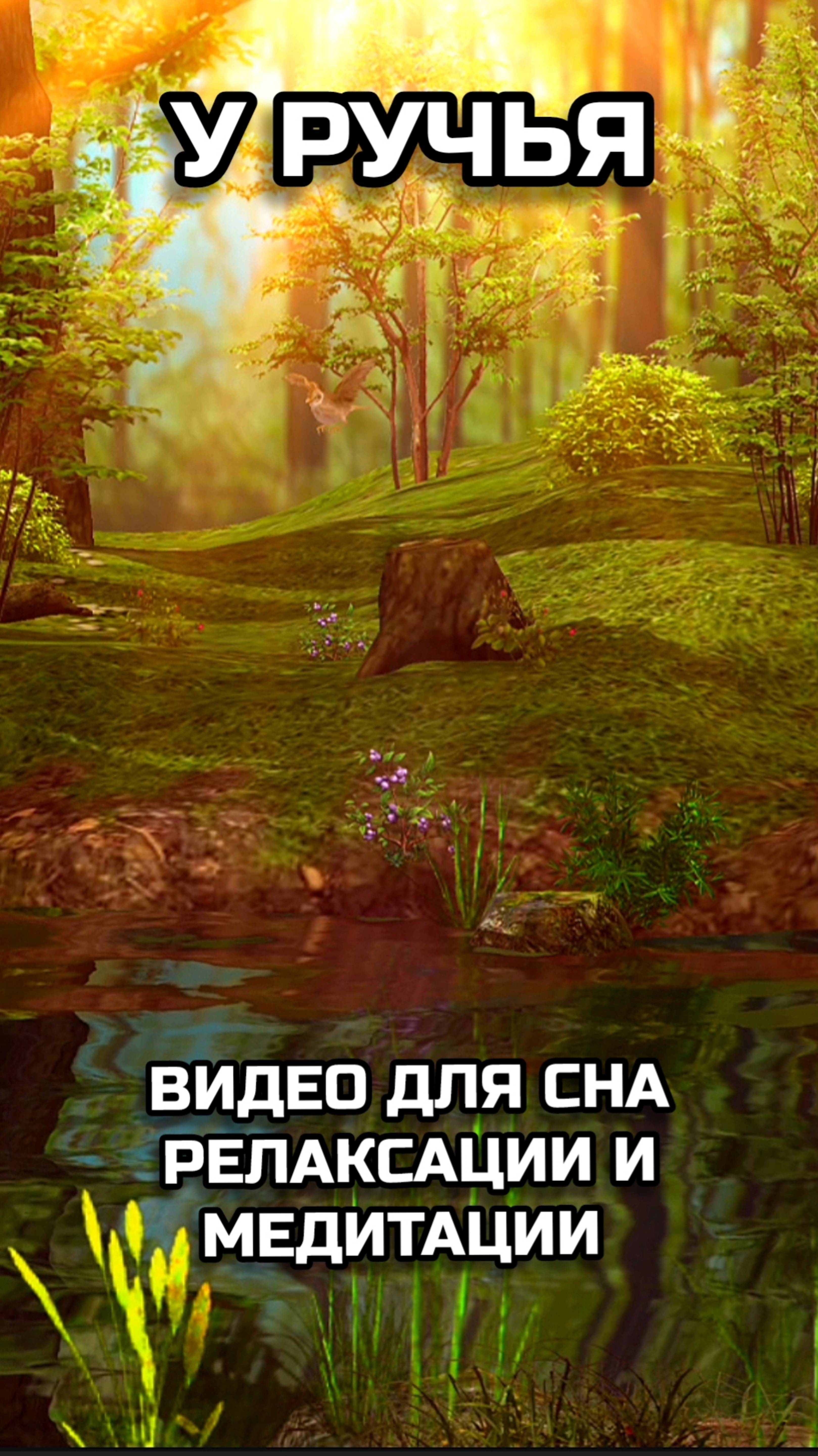 ВИДЕО ДЛЯ СНА И МЕДИТАЦИИ. У РУЧЬЯ.