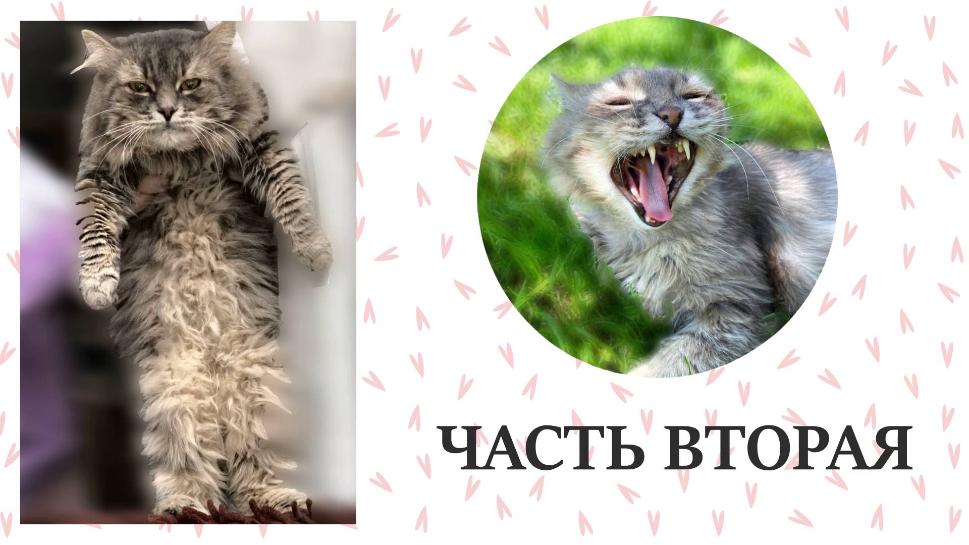 ФИЛЬМ Ласкун 2 часть 2021 г