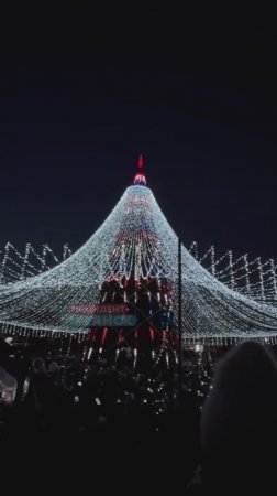 Открытие Новогодней Ёлки, Луганск, ЛНР, Россия 2024-2025.