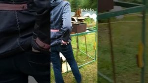 80. Кавалер Кинг Чарльз Спаниель