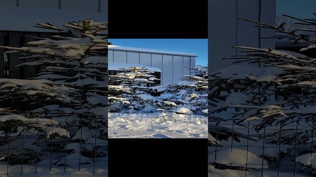 VID_20241217_140045.mp4