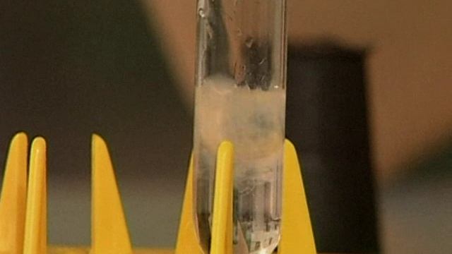 040. Получение и свойства амфотерных гидроксидов