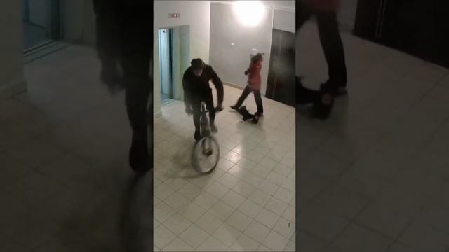 Ничего не обычного #соня #собака #ярославль