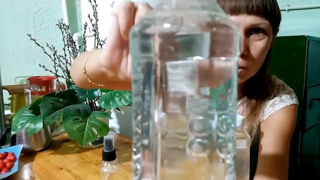 Обзор гидролата мяты.