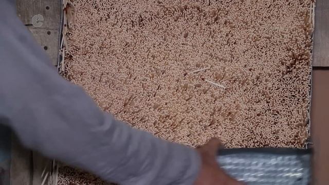 Изготавливаем спички