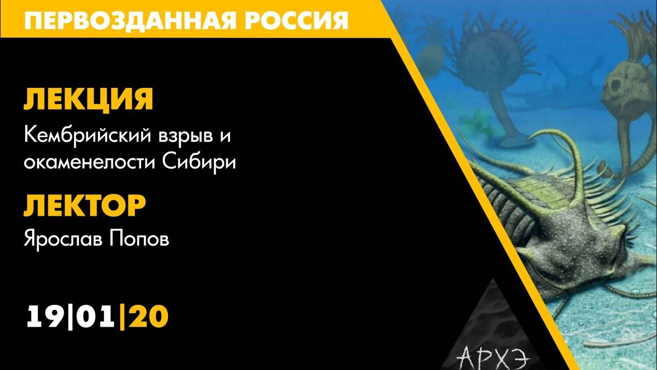 Лекторий АРХЭ на фестивале "Первозданная Россия", Попов Я. "Кембрийский взрыв и окаменелости Сибири"