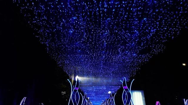 Новогодняя музыкальная открытка города Краснодара "В лесу родилась ёлочка"