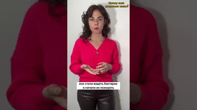 Настроение - это то, что мы сами должны настраивать
