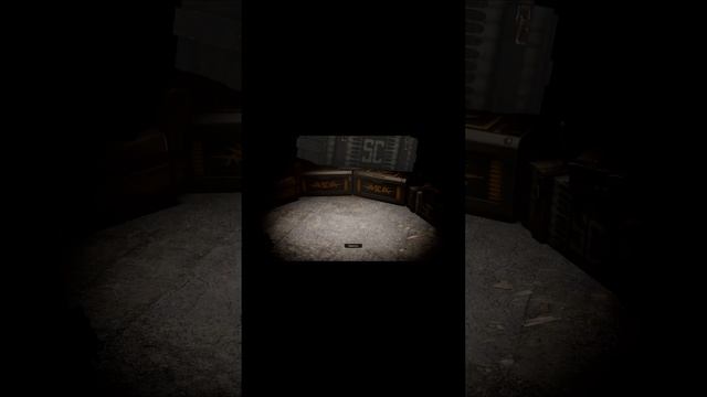 STALCRAFT SHORTS #5