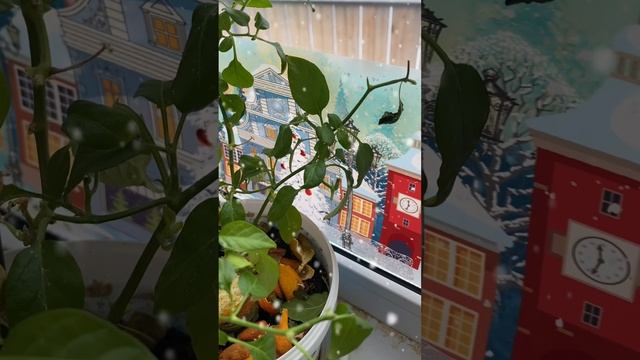 Новогодние наклейки-бордюры на окна