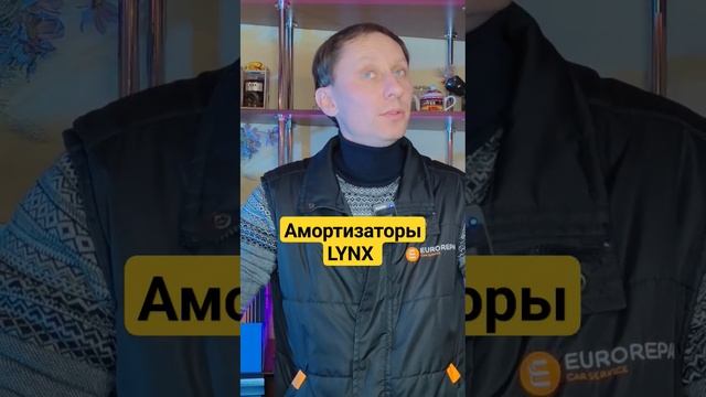 Амортизаторы от LYNX AUTO плохо или нет? #амортизаторы #lynx #lynxauto #вдеталяходеталях