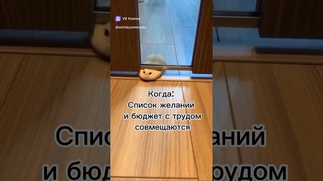 Перед новым годом