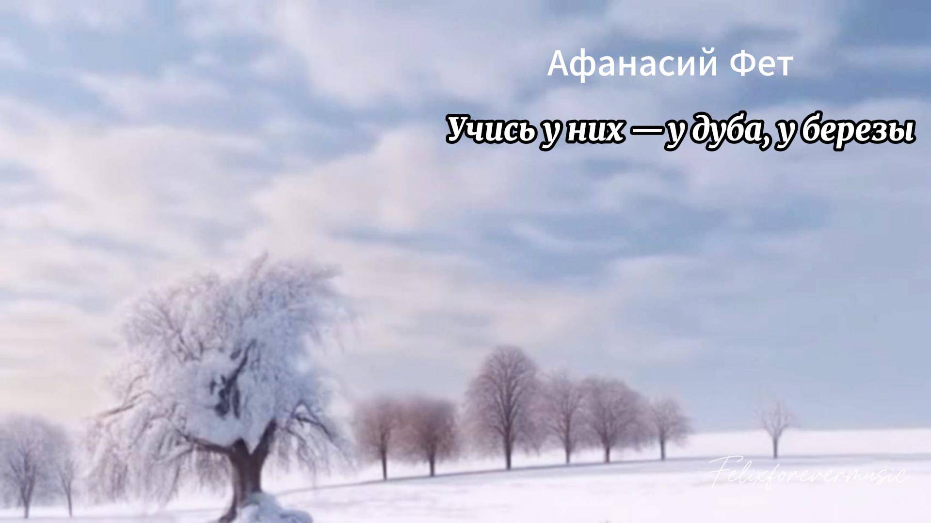 Cтойкость