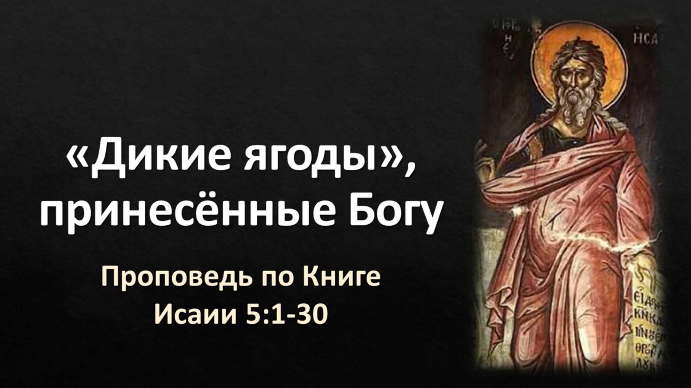04 Исаии 5:1-30 – «Дикие ягоды», принесённые Богу»