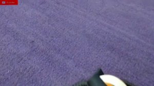 Adidas Dame 5 Review