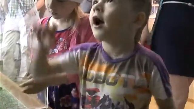 Телевестник Звёздного от 6 июня 2015