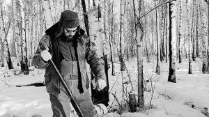 Дед валил деревья ломом.