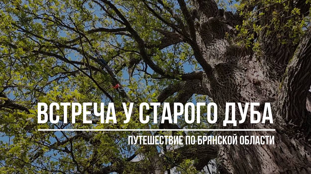 Встреча у старого дуба. Путешествие по Брянской области.