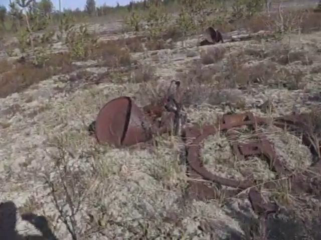 Металлокоп. Хорошее место. Весь металл на поверхности.