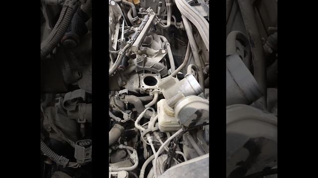 Шкода октавия часть 1