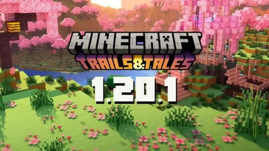 Выполнял задания после стрима.