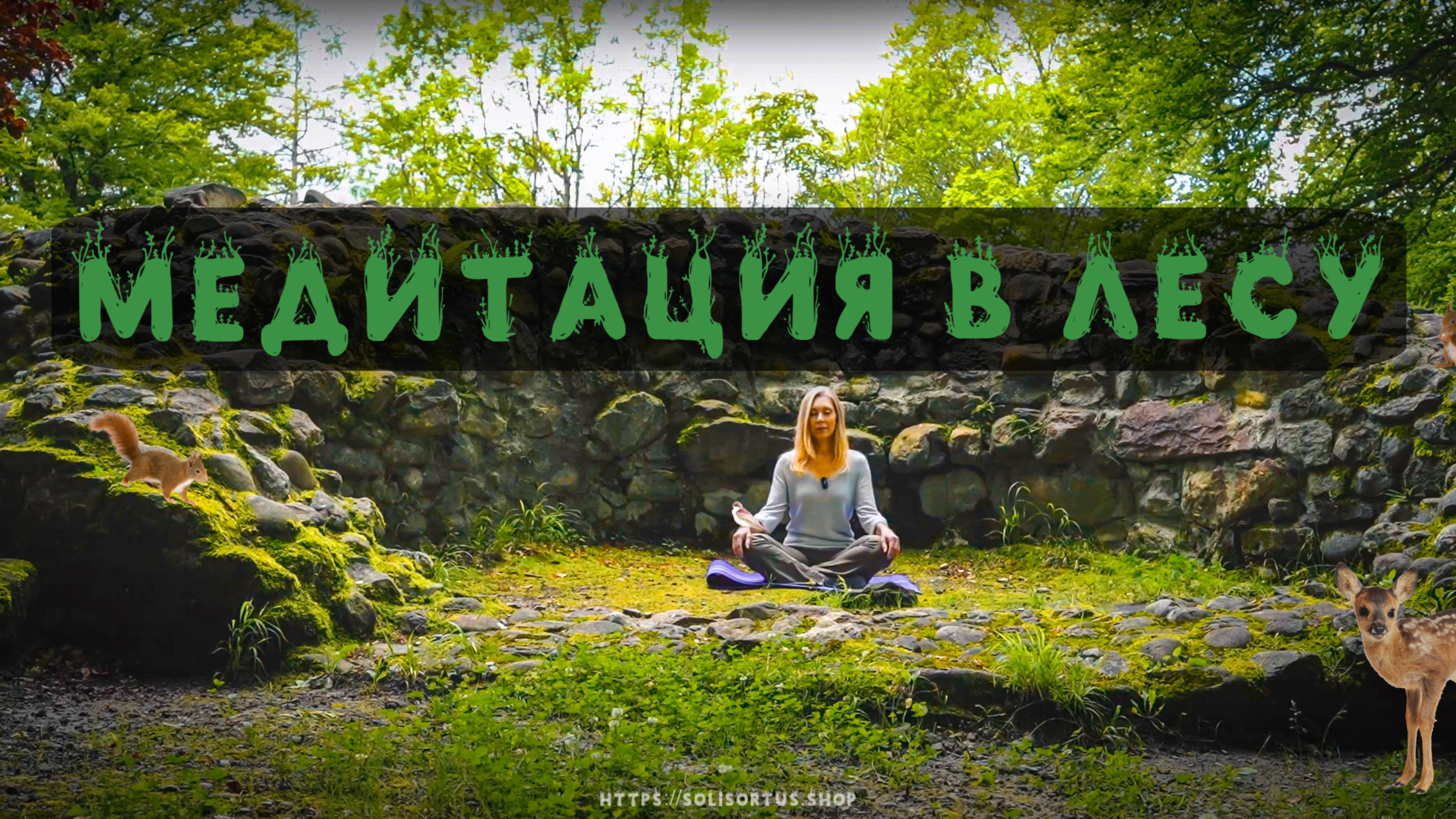 Медитация в лесу