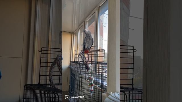 Соня Жжёт!!!