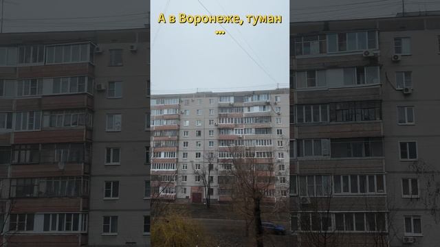 А в Воронеже, туман #Shorts