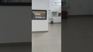 Смотрим выставочный зал,готовим выставку А.Лапшина